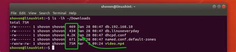 how to use the ls command in linux