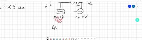 Solved Question [13] A Man Who Is An Achondroplastic Dwarf With Normal