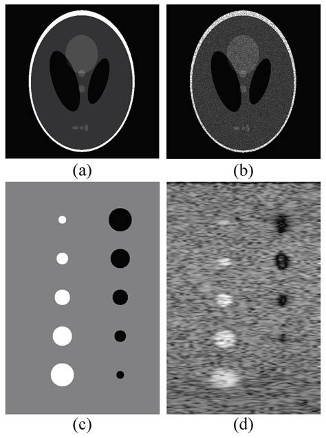 applied sciences free full text a new ultrasound speckle reduction
