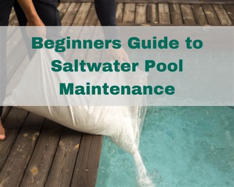 Swimming Pool Maintenance Instructional Guides And Problem Solving