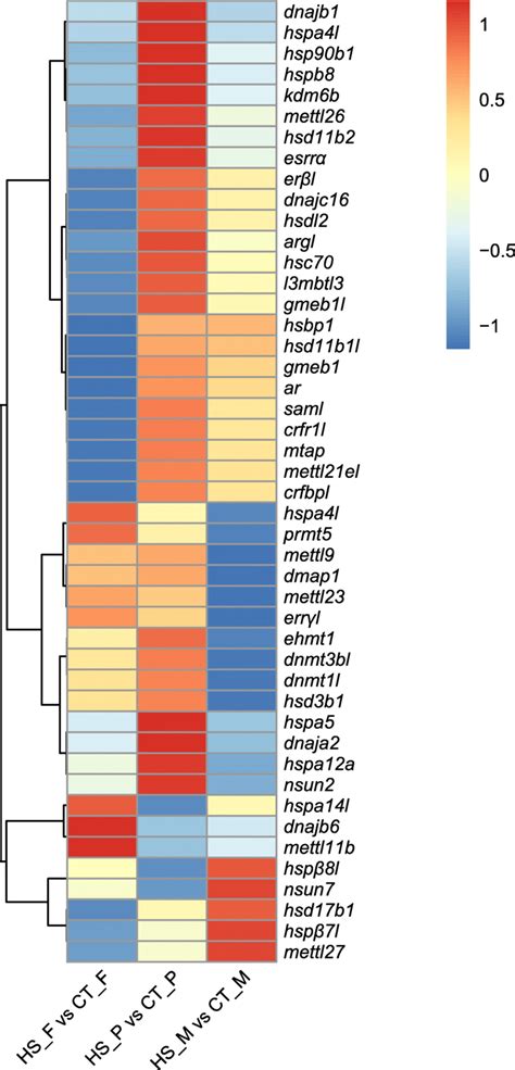 Heatmap Analysis Of Sex Specific Differentially Expressed Genes Degs