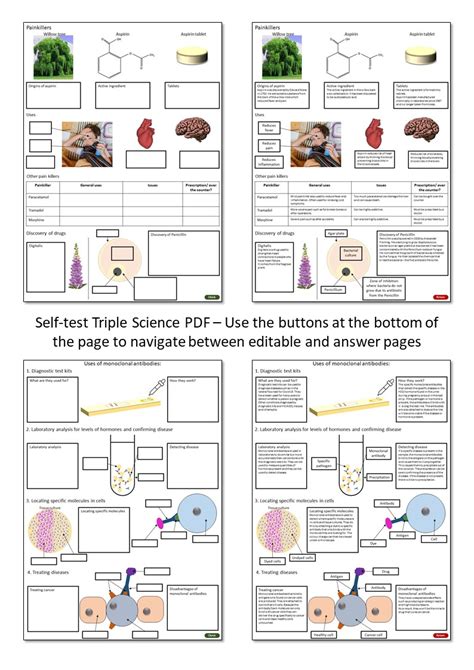 Aqa Gcse Biology 9 1 Infection And Response Illustrated Revision
