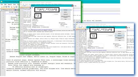 regex tricks remove leading and trailing white spaces with notepad