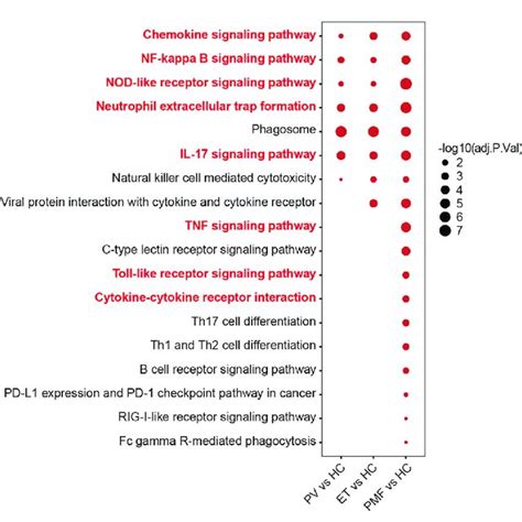 Inflammation And Immune Related Pathways From Kegg Analysis Of