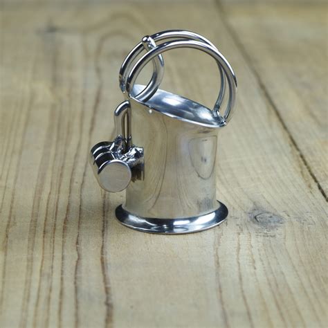 Pa Keuschheitskäfig Prinz Albert Chastity Lock Penis Bondage Etsy Schweiz