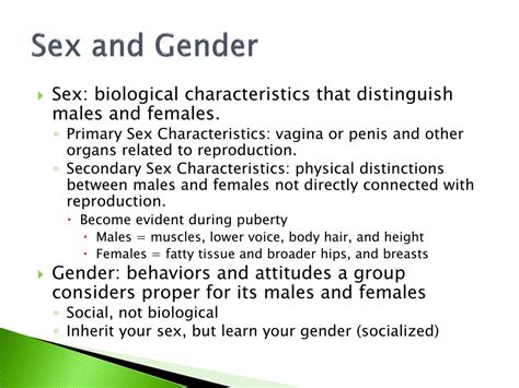 Ppt Gender Stratification Powerpoint Presentation Free Download Id