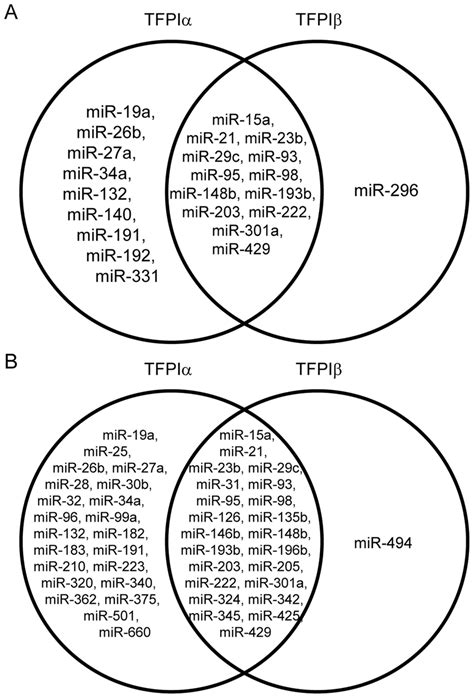 Venn Diagrams Of Differentially Expressed Mirnas After Overexpression