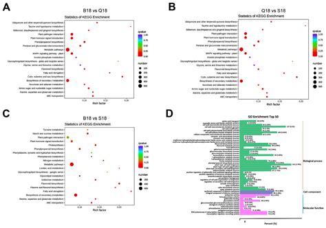 Ijms Free Full Text Transcriptome And Metabolome Profiling Unveil