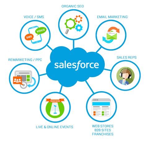 email and sms marketing automation