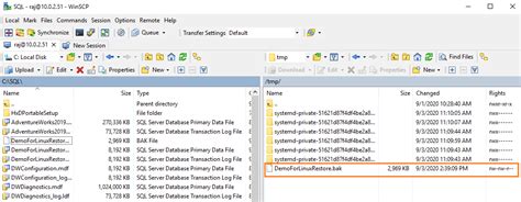 relational databases import export use a format file to skip a data