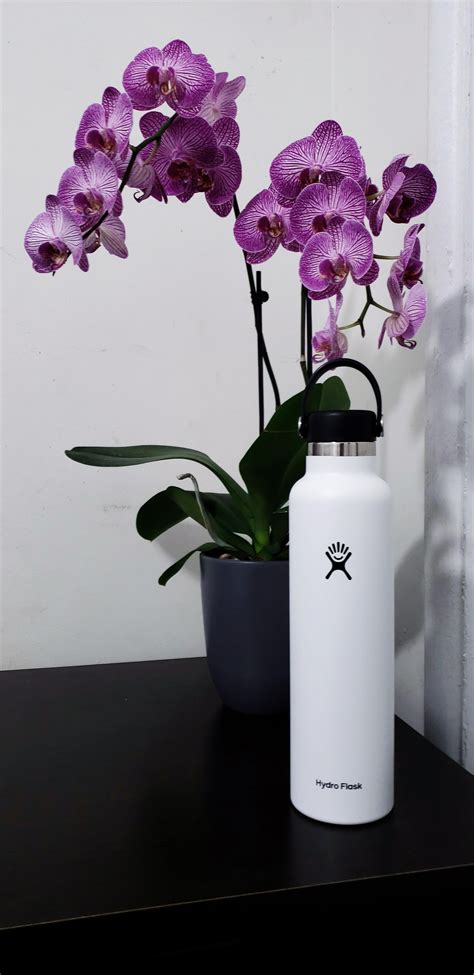 my very first hydro flask i love this thing and is now a