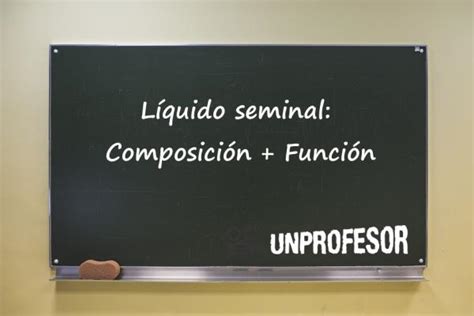 Líquido Seminal Composición Y Función ¡¡resumen Corto