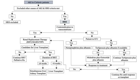 Algorithm For Diagnosis And Treatment Of Hepatorenal Syndrome