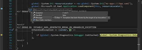 question what does exception has been thrown by the target of an