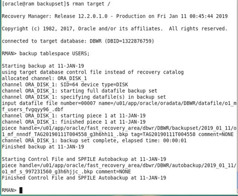 oracle 12c multitenant database backup using rman