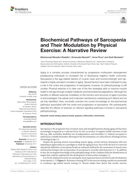 Pdf Biochemical Pathways Of Sarcopenia And Their Modulation By