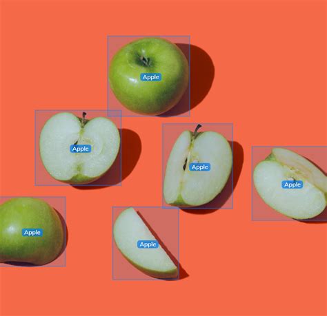how to annotate with bounding boxes [guide and examples]