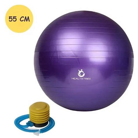 Anti Burst Gym Yoga Exercise Swiss Ball 55 Cm Purple At Rs 699 00