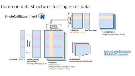 Orchestrating Single Cell Rna Sequencing Analysis With Bioconductor