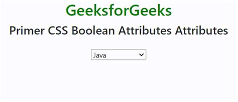 primer css boolean attributes geeksforgeeks