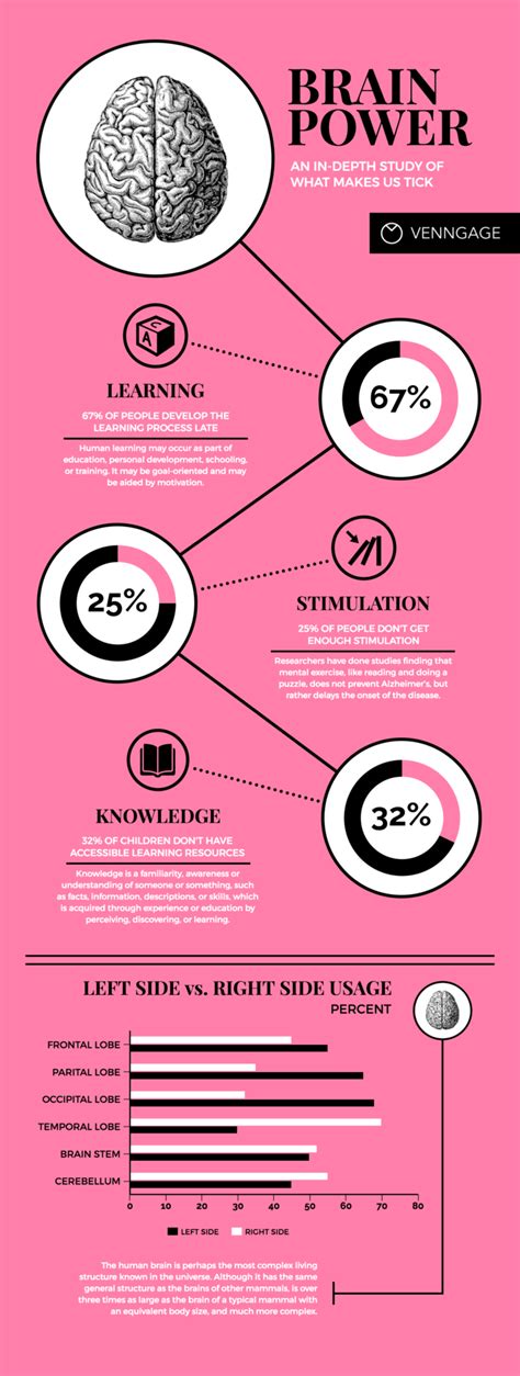 25 Statistical Infographic Examples To Help Visualize Data Venngage