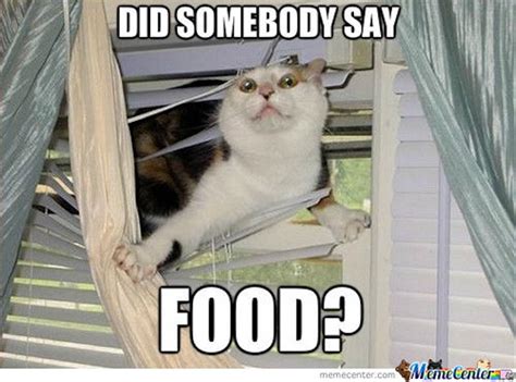 11 Funny Food Memes That Will Totally Make You Say Me When Im Hungry