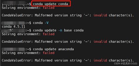 更新conda报错 condavalueerror malformed version string ‘~‘ invalid