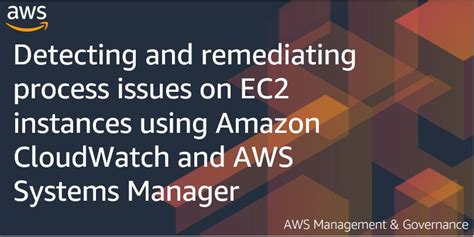 detecting and remediating process issues on ec2 instances using amazon