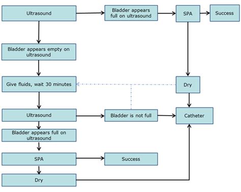 Clinical Practice Guidelines Suprapubic Aspirate