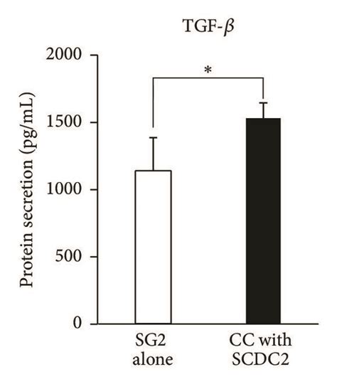 Expression Levels Of The Anti Inflammatory Cytokines Il 10 And Tgf β In