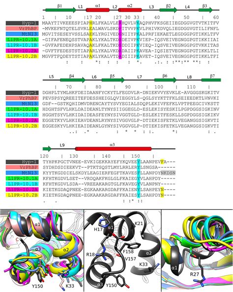 A Multiple Sequence Alignment And B Superposition Of Pr 10 Models