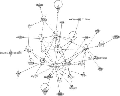 Network 1 Identified By Ingenuity Pathway Analysis Ipa This Network
