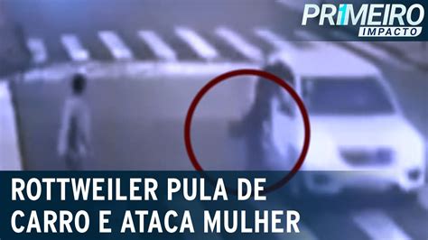 Cachorro Pula De Carro Em Movimento E Ataca Mulher E Filho Primeiro