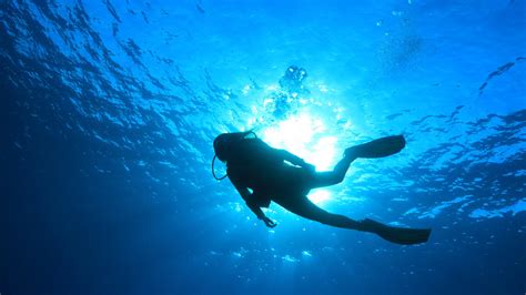 Scuba Diving Wallpaper 59 Images