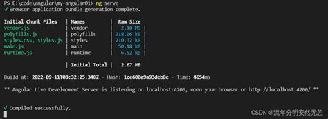 ng 无法加载文件 c users 93981 appdata roaming npm ng ps1 的解决方法 在 windows
