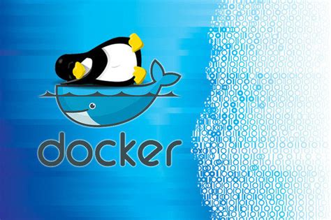 docker e docker compose