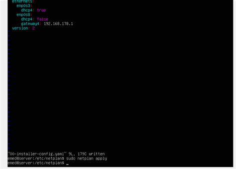 how to setup the netplan for ubuntu server 20 04 for bridged connection