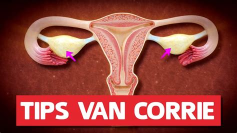 Hoe Word Je Zwanger De Dokter Corrie Show Youtube