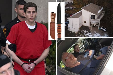 Idaho Murders Suspect Bryan Kohberger Appears In Court With Cuts And
