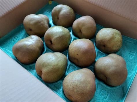 Yahoo オークション 山形発 県産ラ・フランス 5kg 5l 10個 専用箱