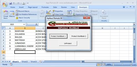 vba excel pemula 20 cara unprotect workbook