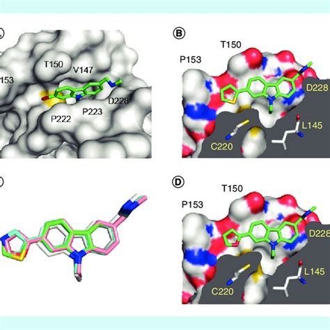 Pdf A Structure Guided Molecular Chaperone Approach For Restoring The