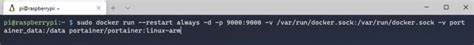 how to install portainer on a raspberry pi wundertech