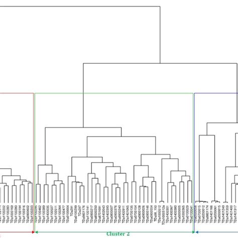 hierarchical cluster dendrogram based on gower genetic similarity