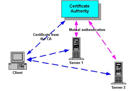 how to create own certificate authority ca with easyrsa