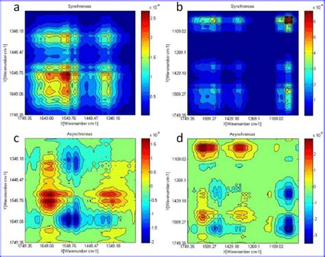 synchronous a b and asynchronous c d 2d correlation maps