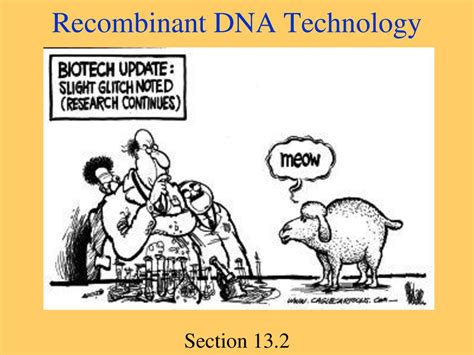 Recombinant Dna Animation