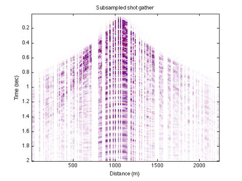 seismic trace interpolation examples and results
