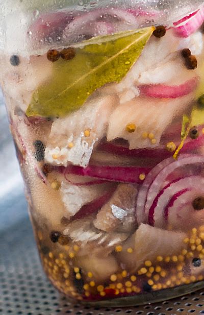 12 Arendellian Pickled Herring Recipe Catarinanadiya