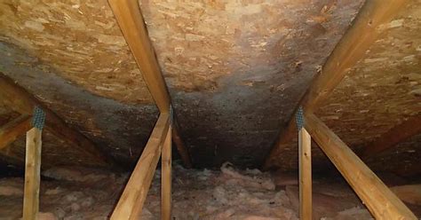 Things I Saw On Inspections This Week Album On Imgur
